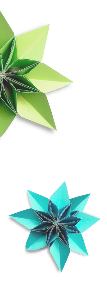 Os modificadores do núcleo do Sintagma Nominal